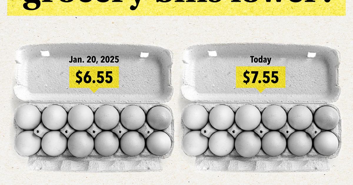 Times Square Ad Highlights Rising Egg Prices and Trump’s Broken ...