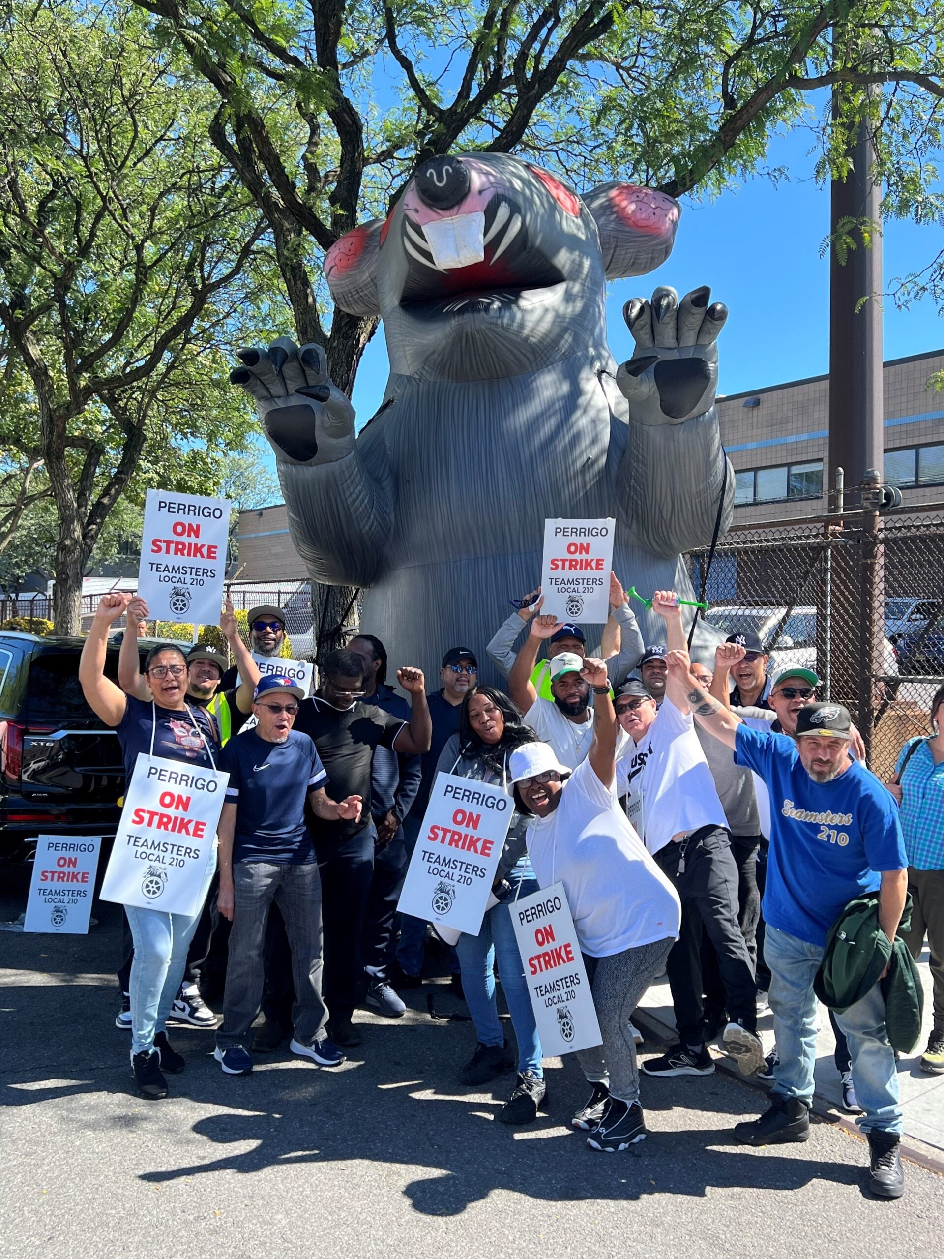 Teamsters Local 210 Strikes Against Perrigo Over Worker Benefit Cuts ...